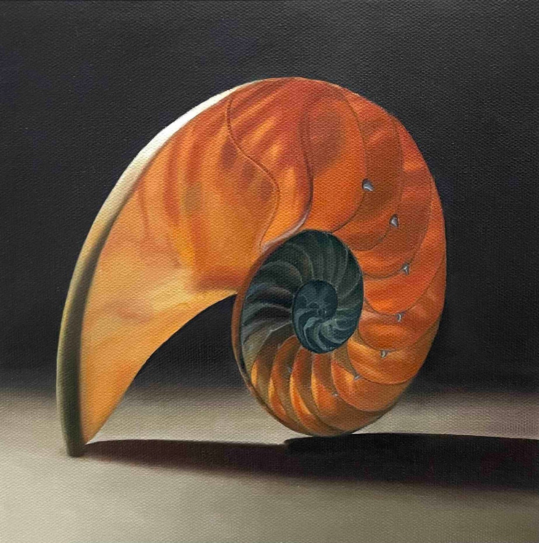 Nautilus Shell Original Oil Painting Nautical Themed Artwork for Home ...