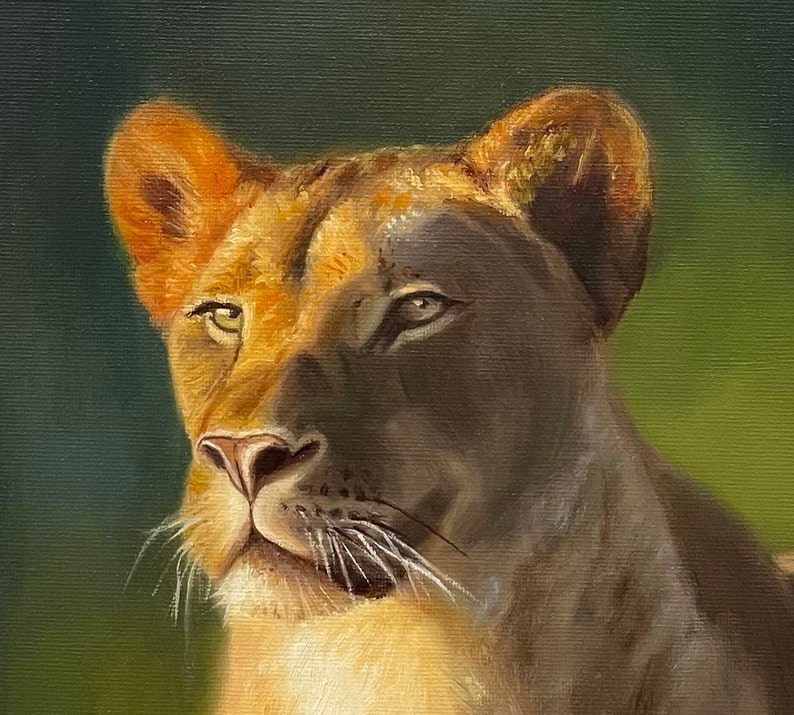 Lioness Oil Painting: Majestic Animal Portrait, Fine Art Decor (10x10 ...
