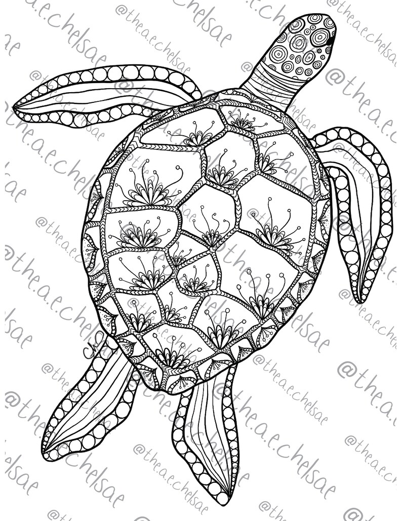 Turtle Adult Coloring Page - Etsy