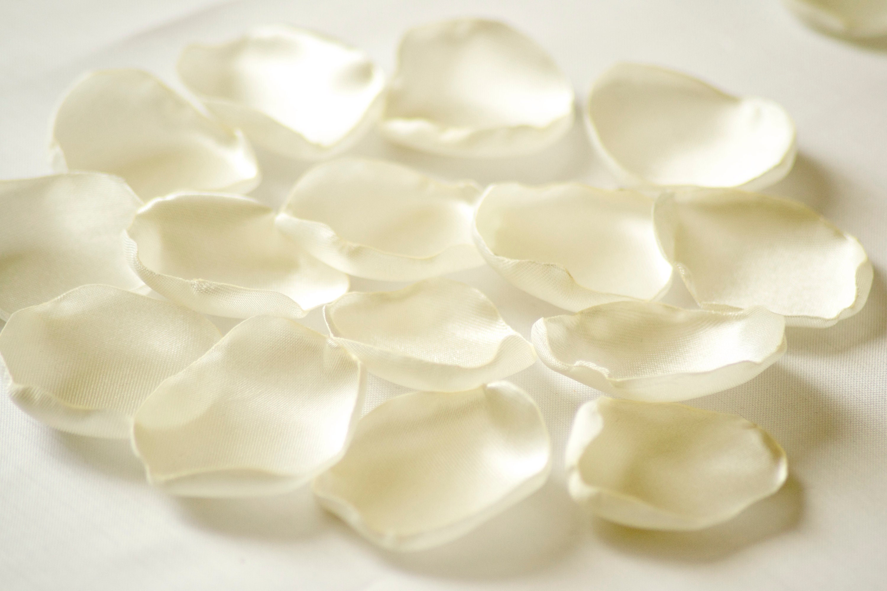 Ivory Rose Petals/ Ivory Wedding Decor/off White - Etsy