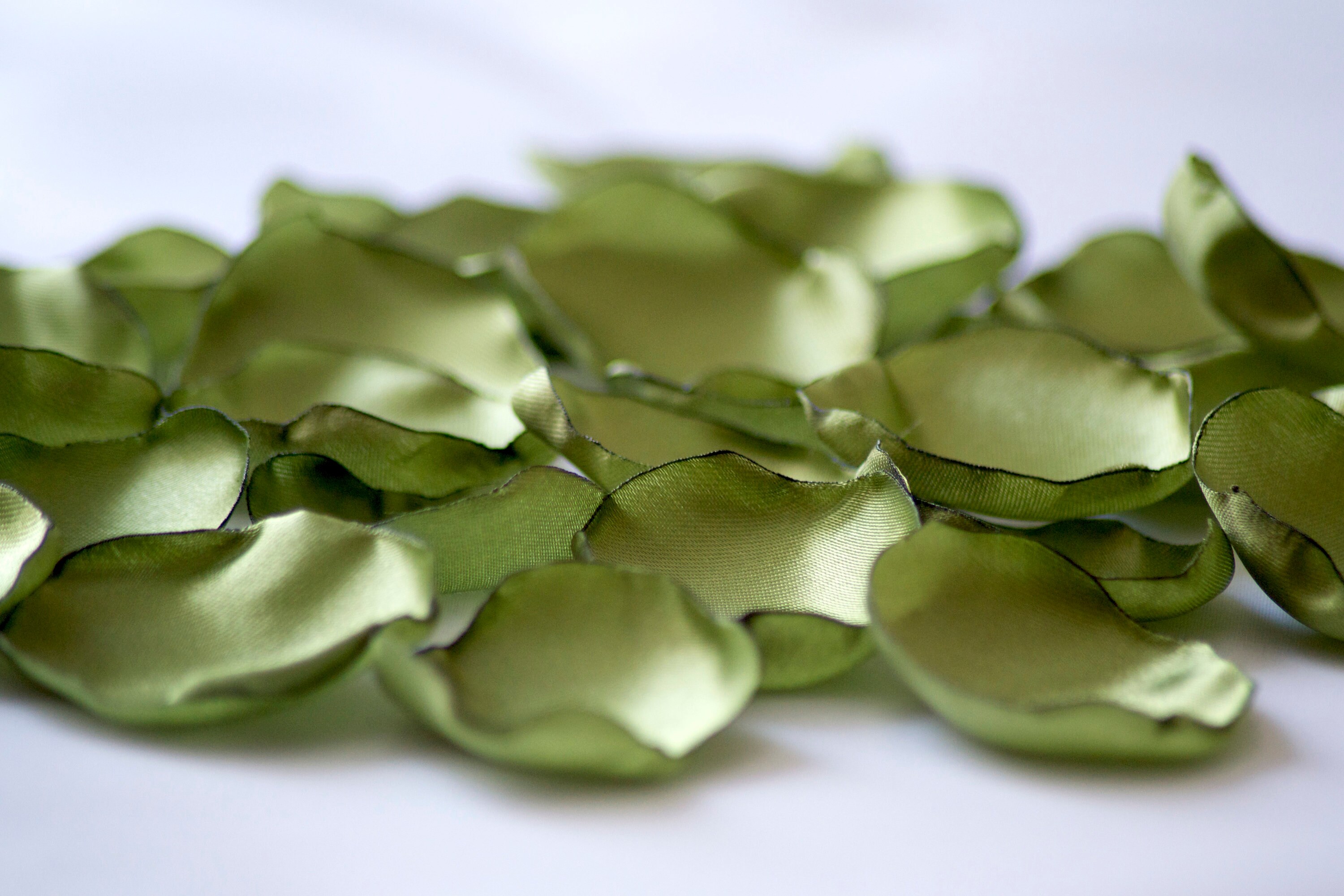 Olive Green Petals/ Moss Green Flower Petals/greenery Table Decor ...