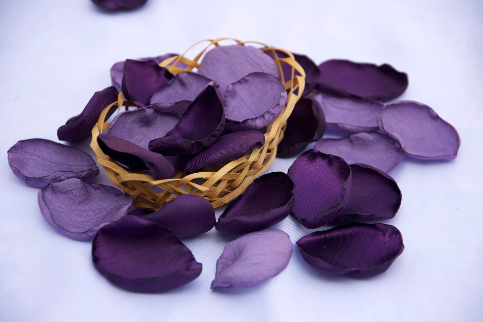 Plum Rose Petals/deep Purple Flower Supply/plum Wedding Decor/ - Etsy