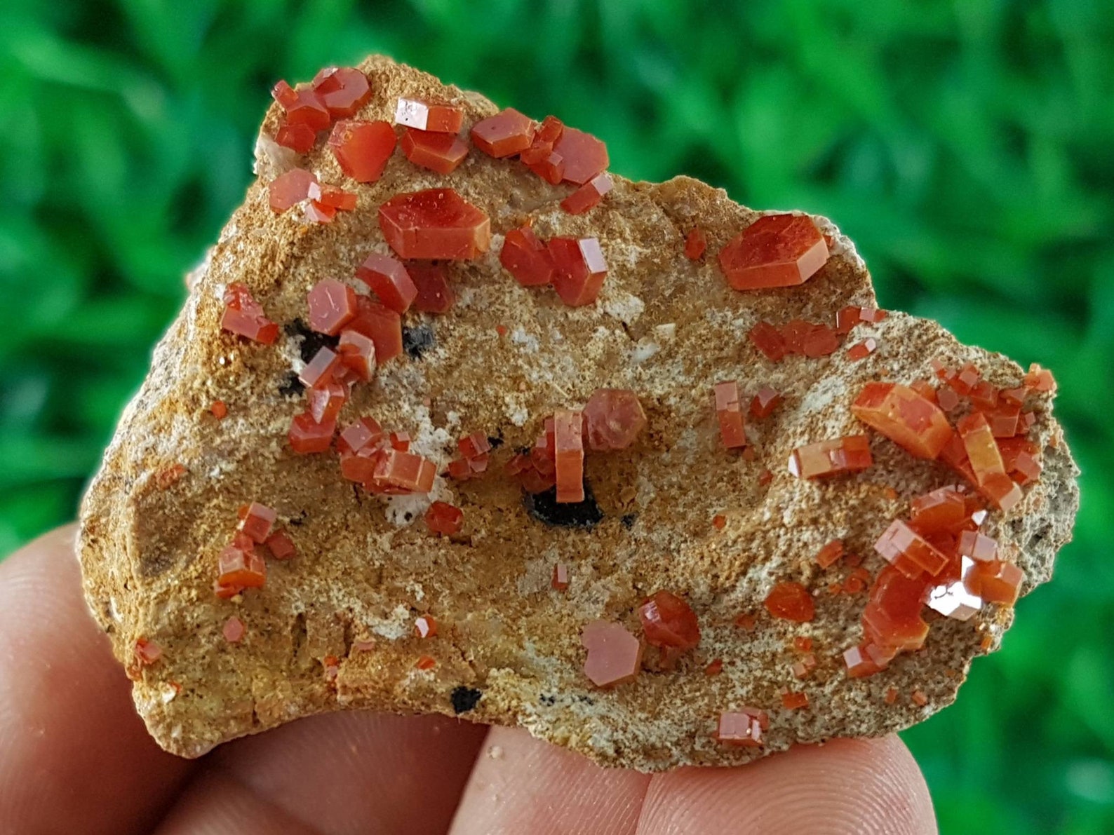 Beautiful Vanadinite on Barite From Moroccocrystal - Etsy