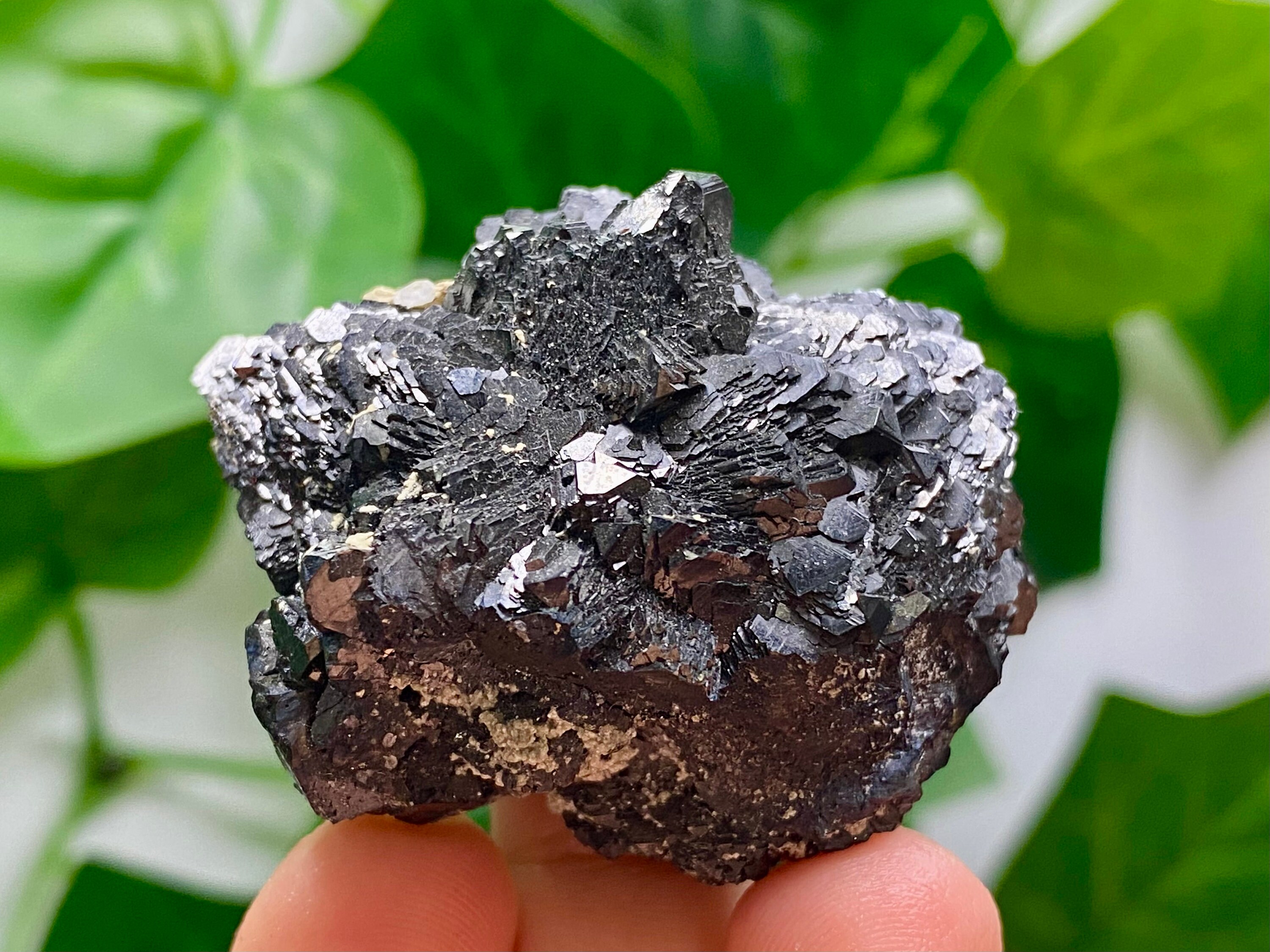 Amazing Crystallisations Sphalerite From Krushev Dol Mine Madan ...