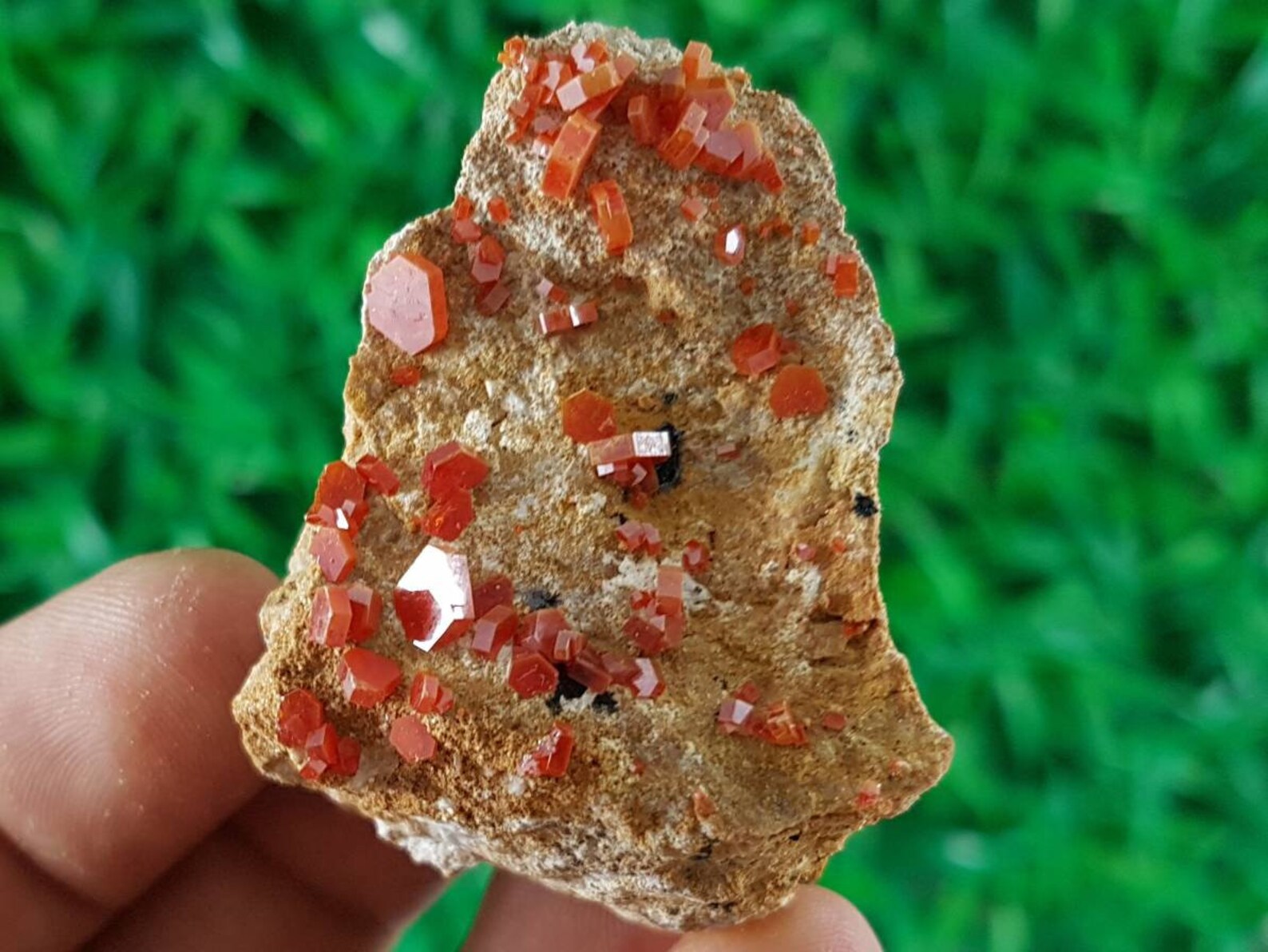Beautiful Vanadinite on Barite From Moroccocrystal - Etsy
