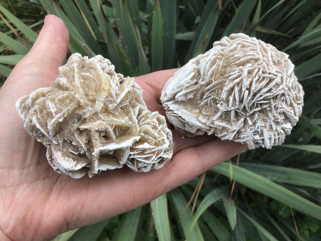 Desert Rose Selenite Cluster: Raw Gypsum Specimen, Chakra Cleansing ...