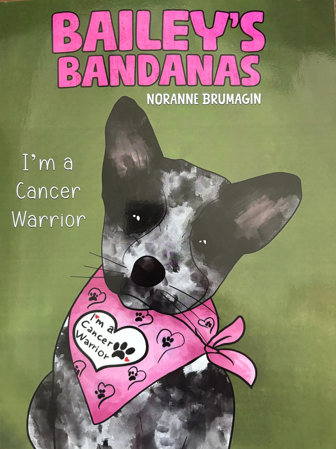 Bailey's Bandanas I'm a Cancer Warrior Childrens Book Fiction Childhood ...