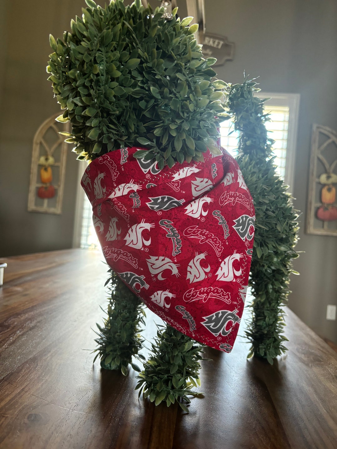 WSU Cougars Pet Bandana: Washington State University College Scarf ...