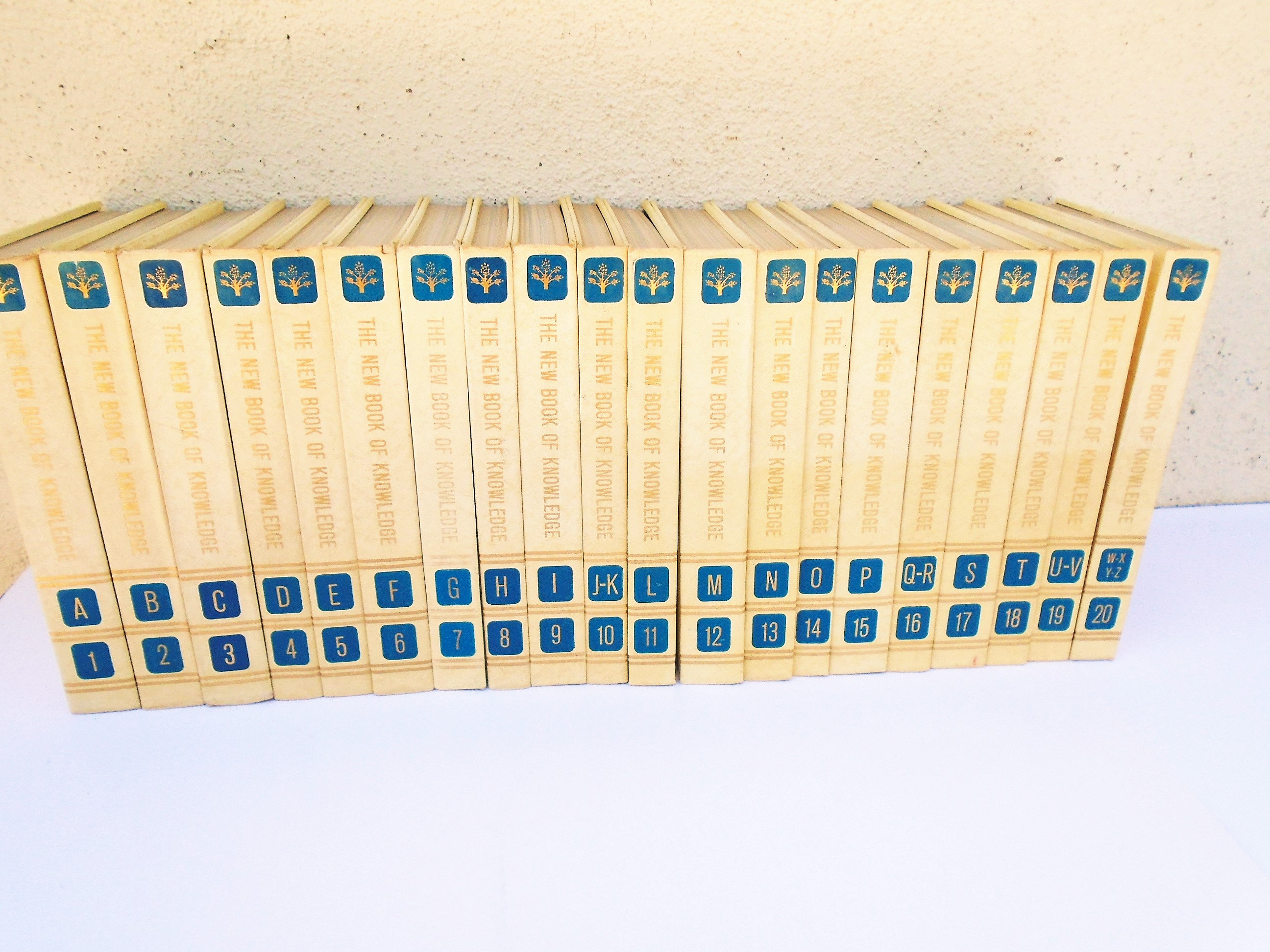 Vintage 1967 Book of Knowledge Encyclopedia Set: 20 Volume Kids ...