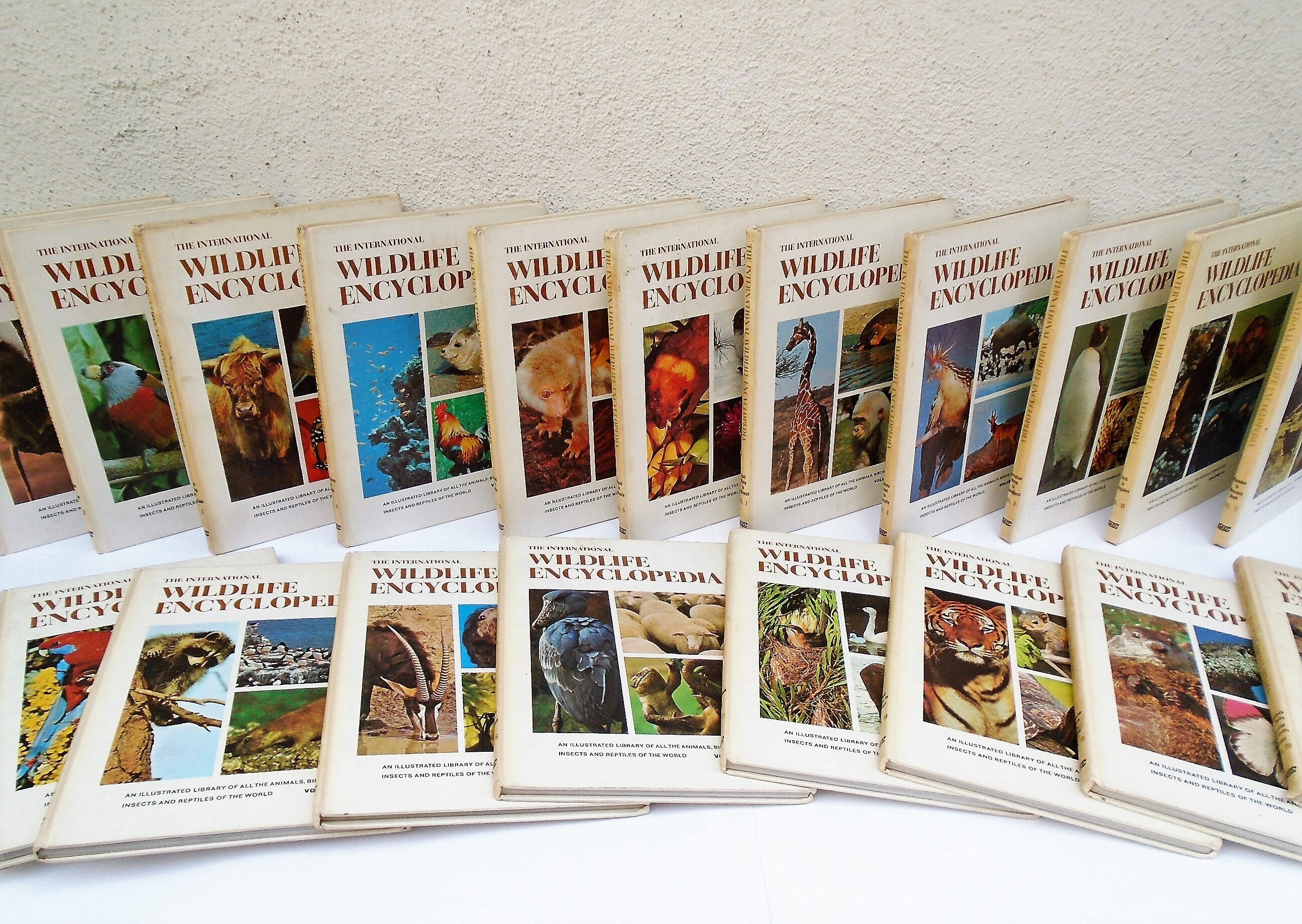 Vintage 70s Animal Encyclopedia the International Wildlife Encyclopedia ...