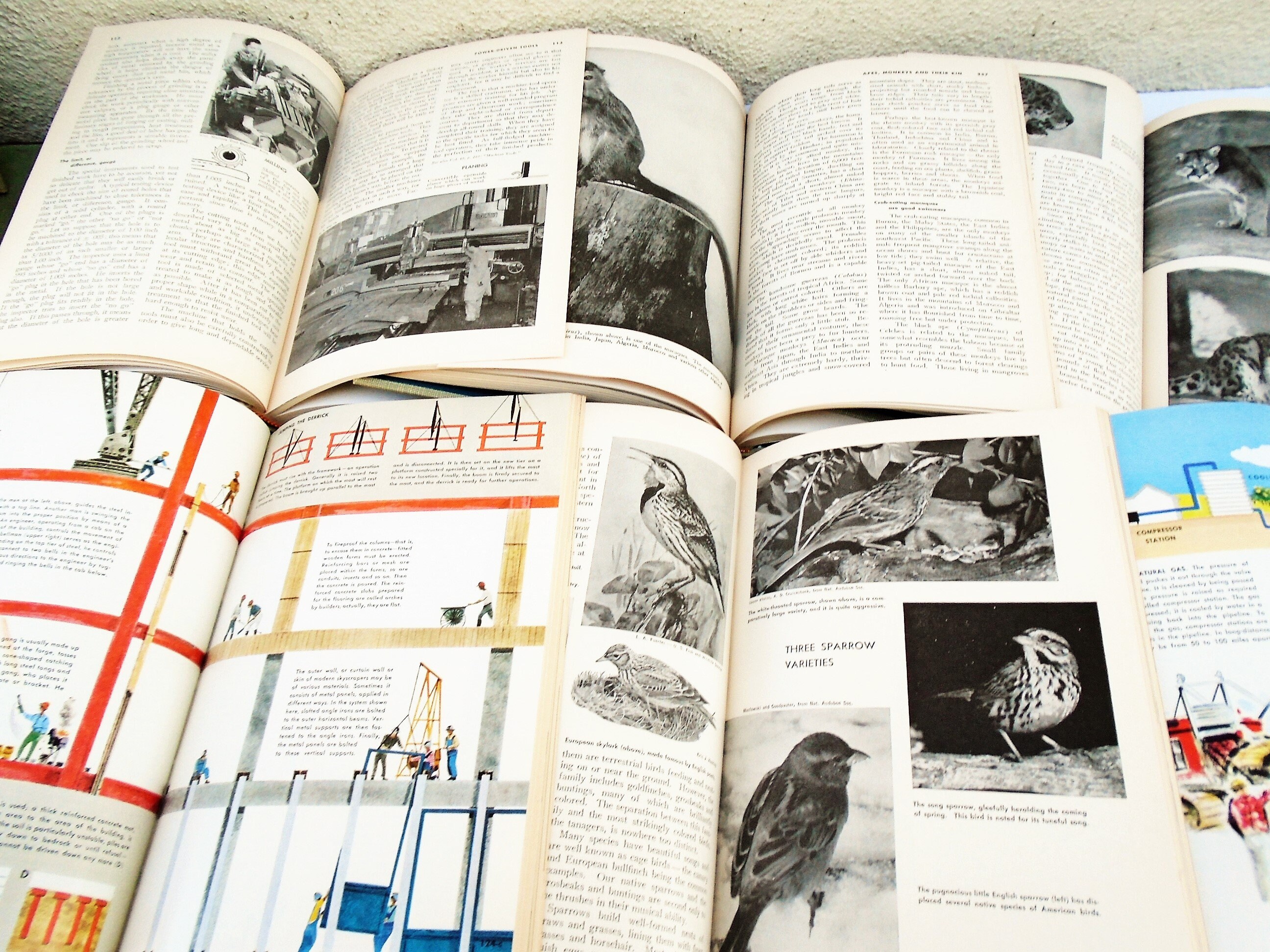 Vintage Science Hardcover Books 1961 Complete set Of Science | Etsy