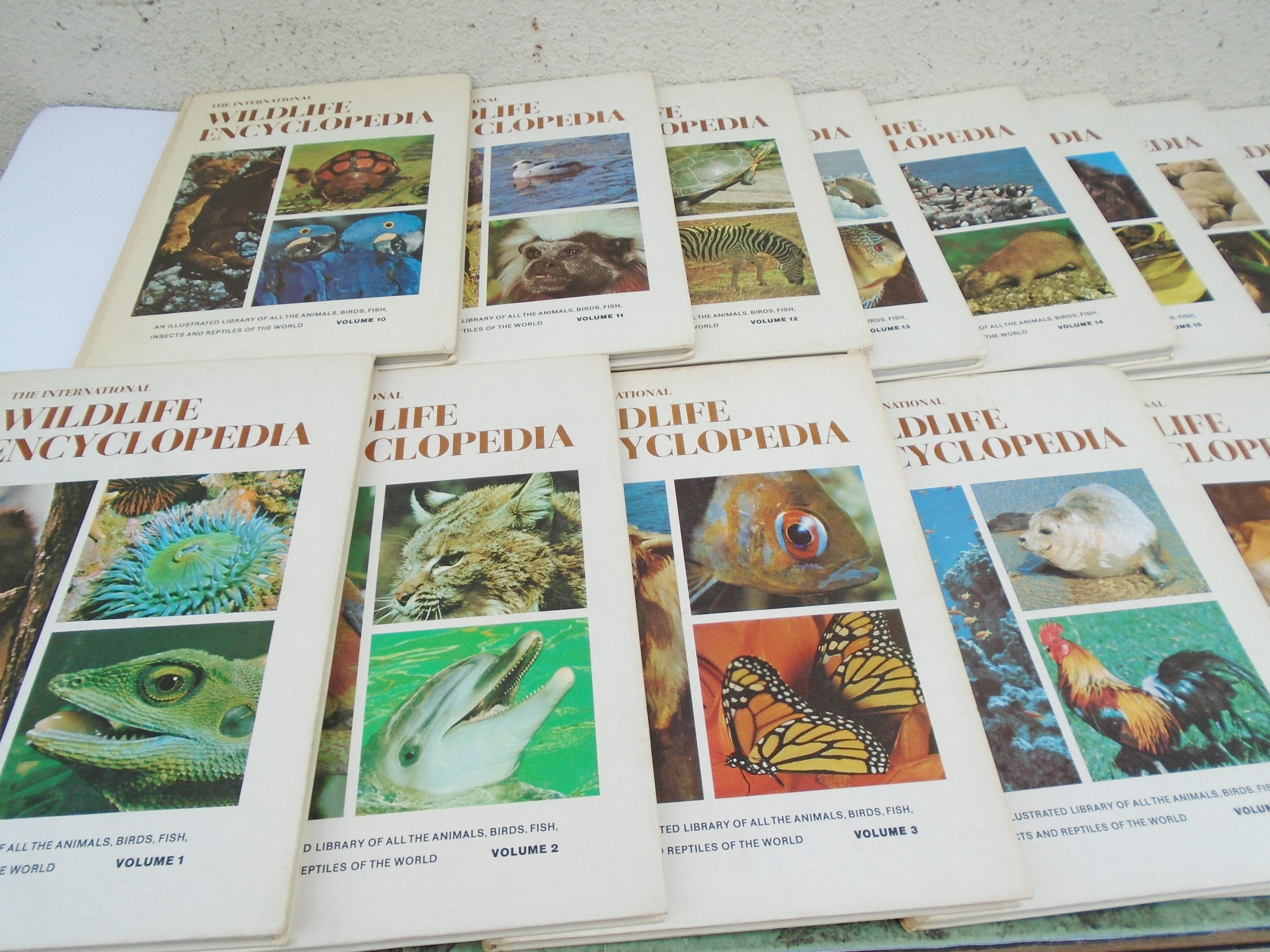 Vintage 70s Animal Encyclopedia the International Wildlife Encyclopedia ...
