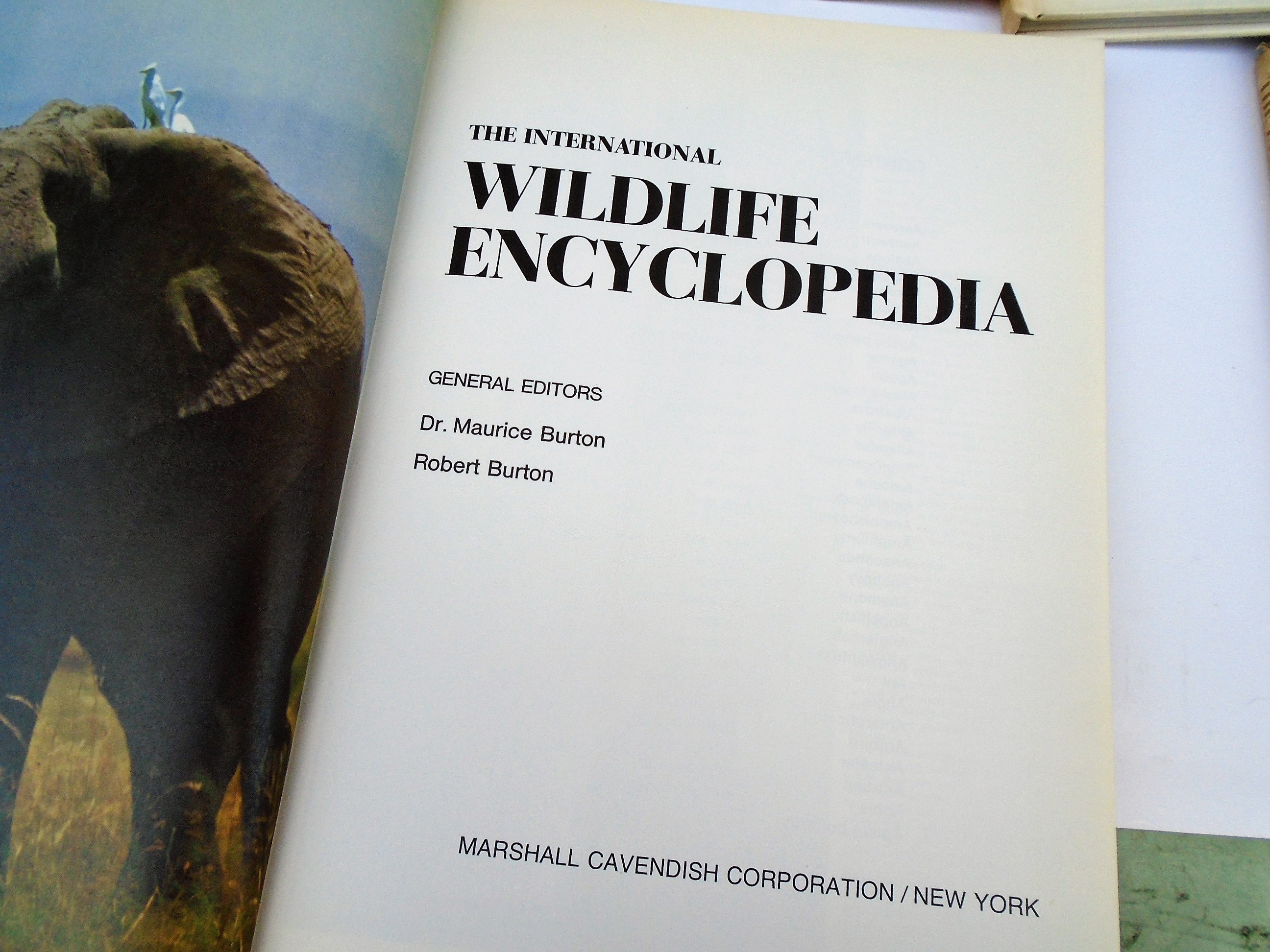 Vintage 70s Animal Encyclopedia the International Wildlife Encyclopedia ...