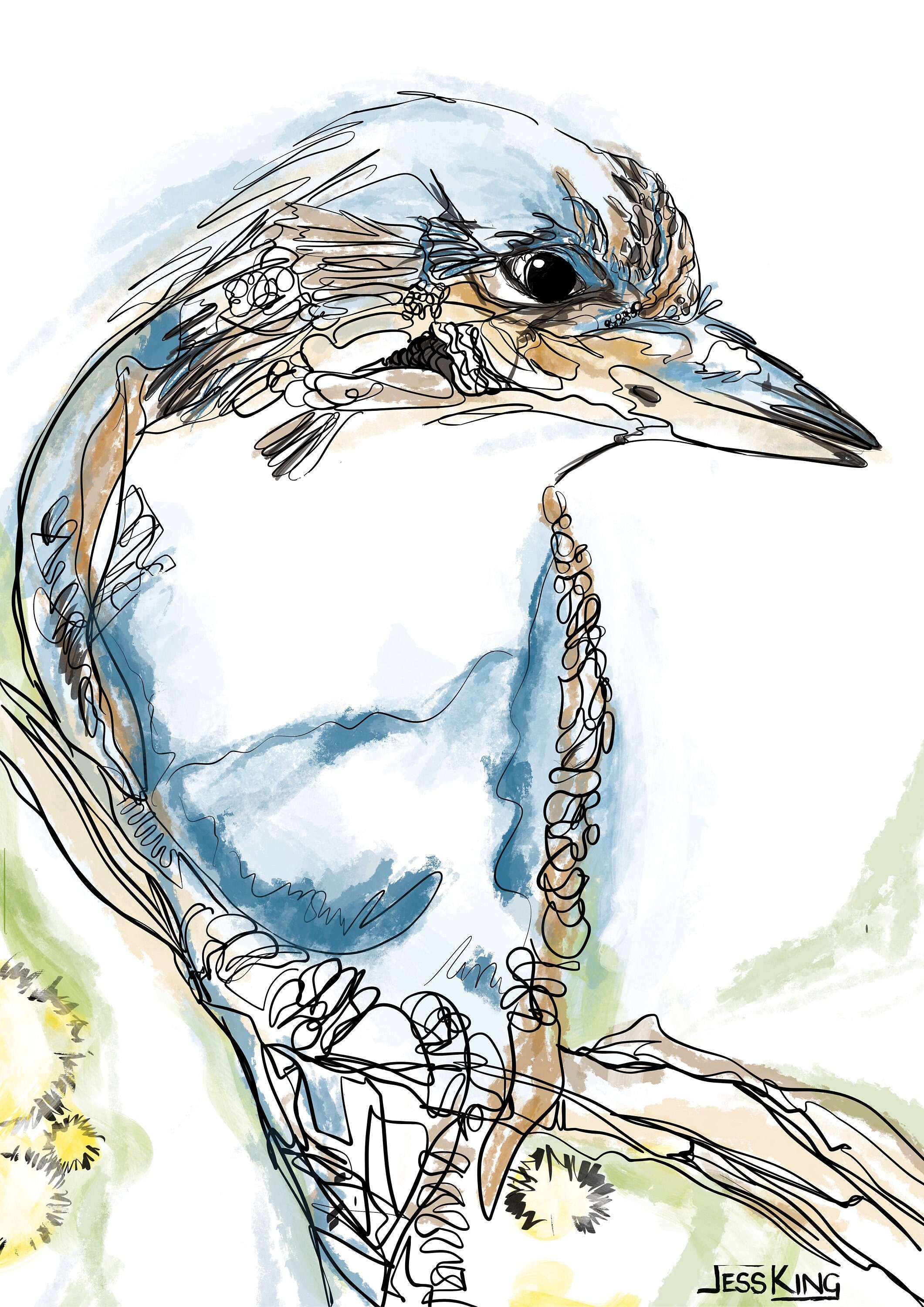 Kookaburra Line Drawing Download Art Print - Etsy