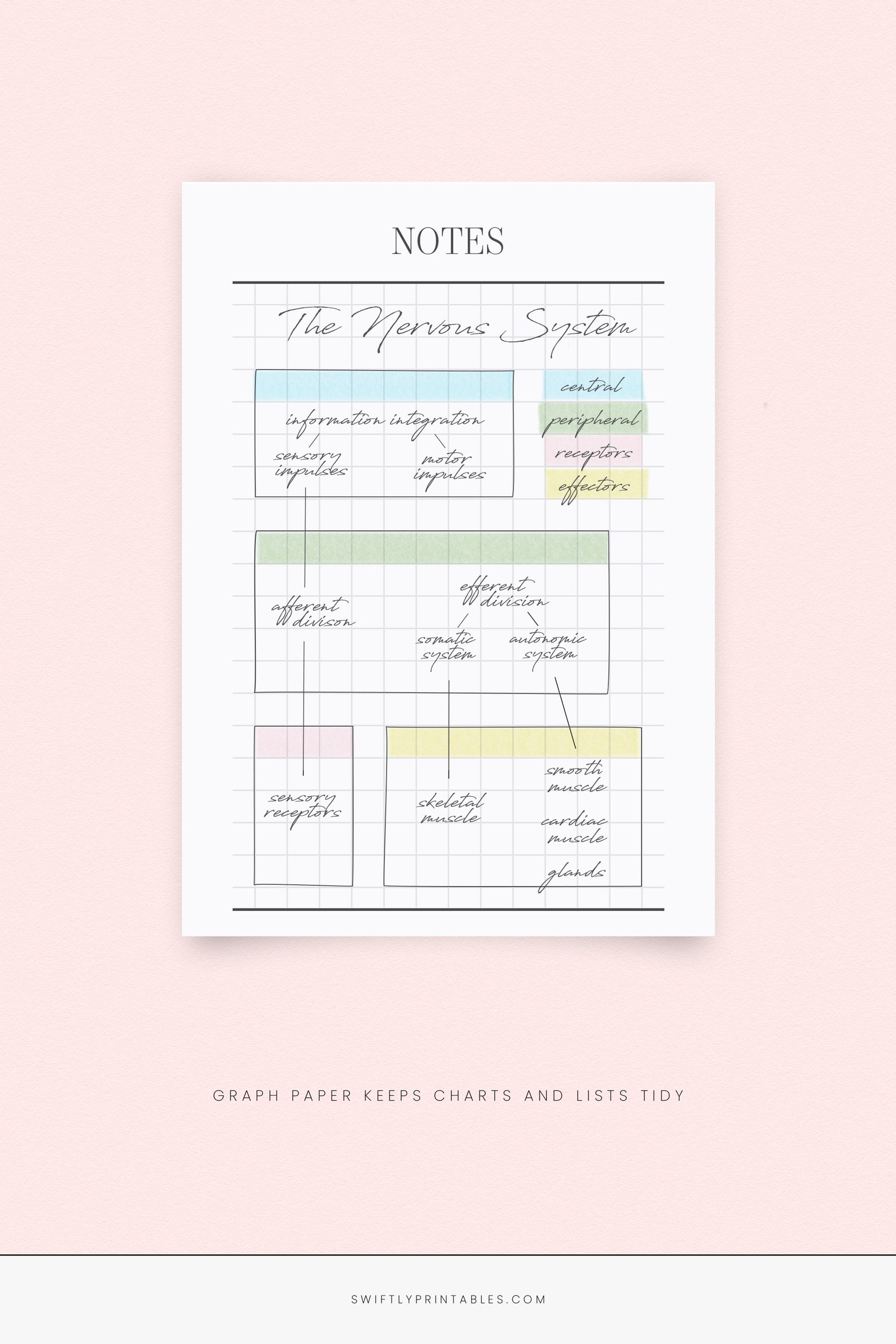 Note Pack Printable Planner Bundle 11 Blank Ruled Dot Grid - Etsy