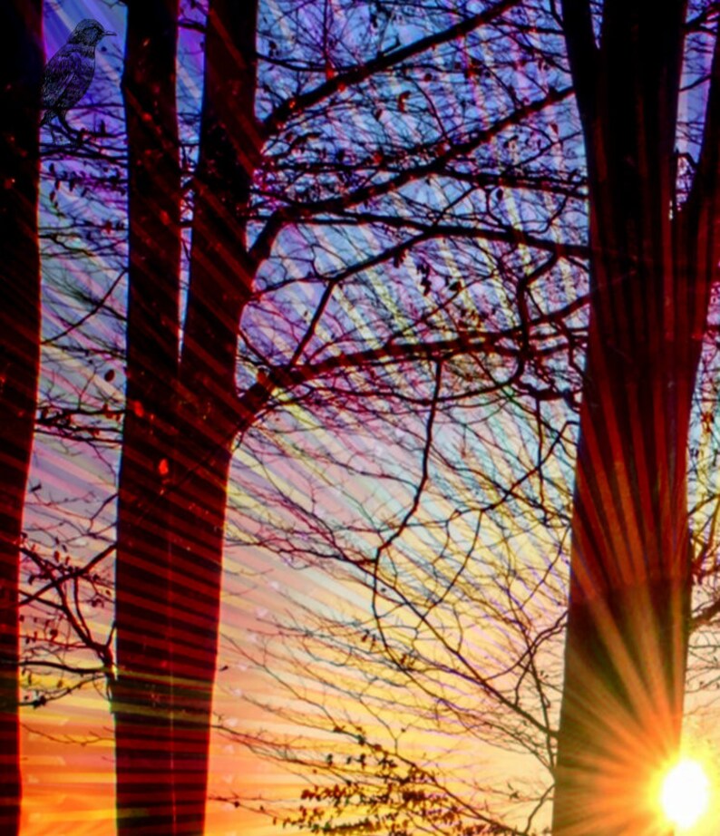 Sunrise Poster Print Nature Poster Print Orange Blue Wall - Etsy