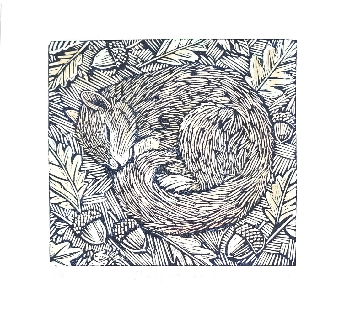Forest Squirrel Linocut, Hand Printed, Hand Coloured ,awagami Shiramine ...