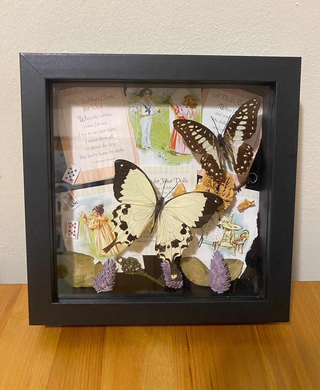 Real Framed Butterfly Alice in Wonderland Wall Art Dried Insect ...