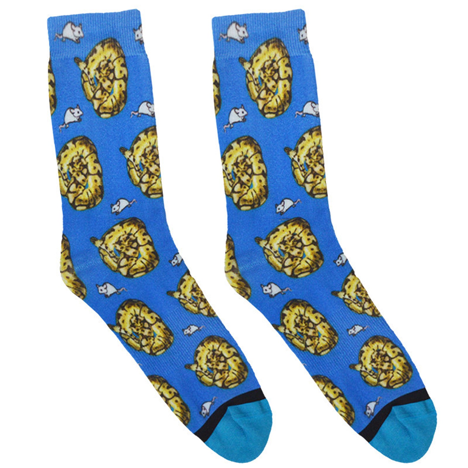 Divvyup Socks Custom Snake Socks Put Your Snake on Socks | Etsy