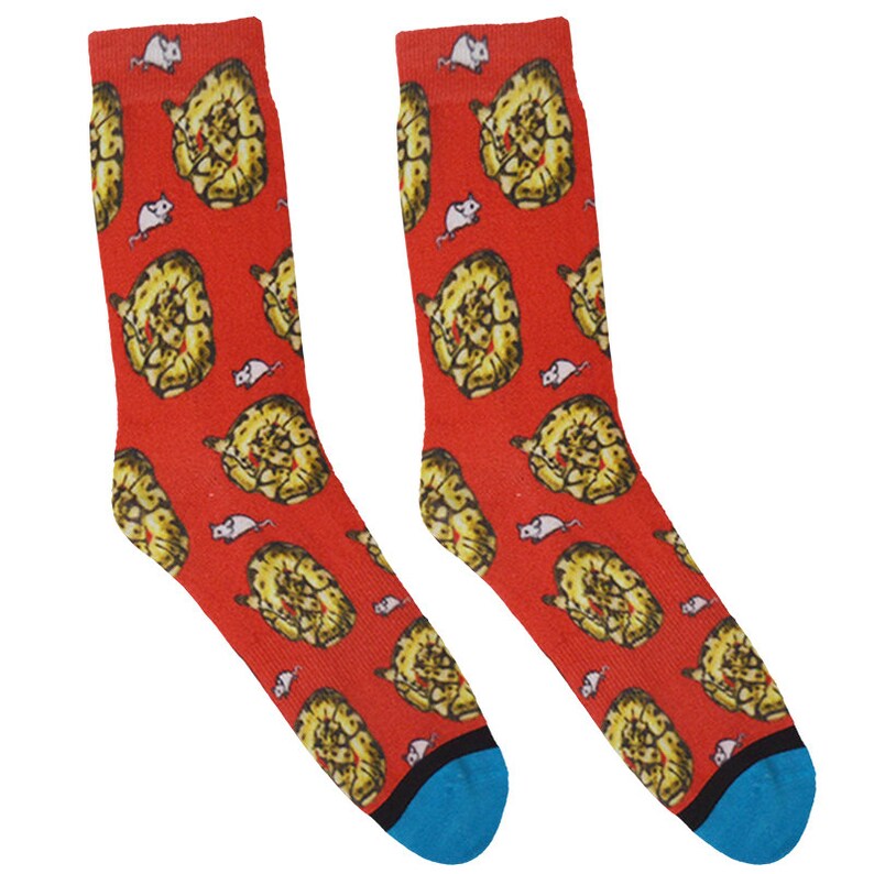 Divvyup Socks - Custom Snake Socks - Put Your Snake on Socks - Etsy