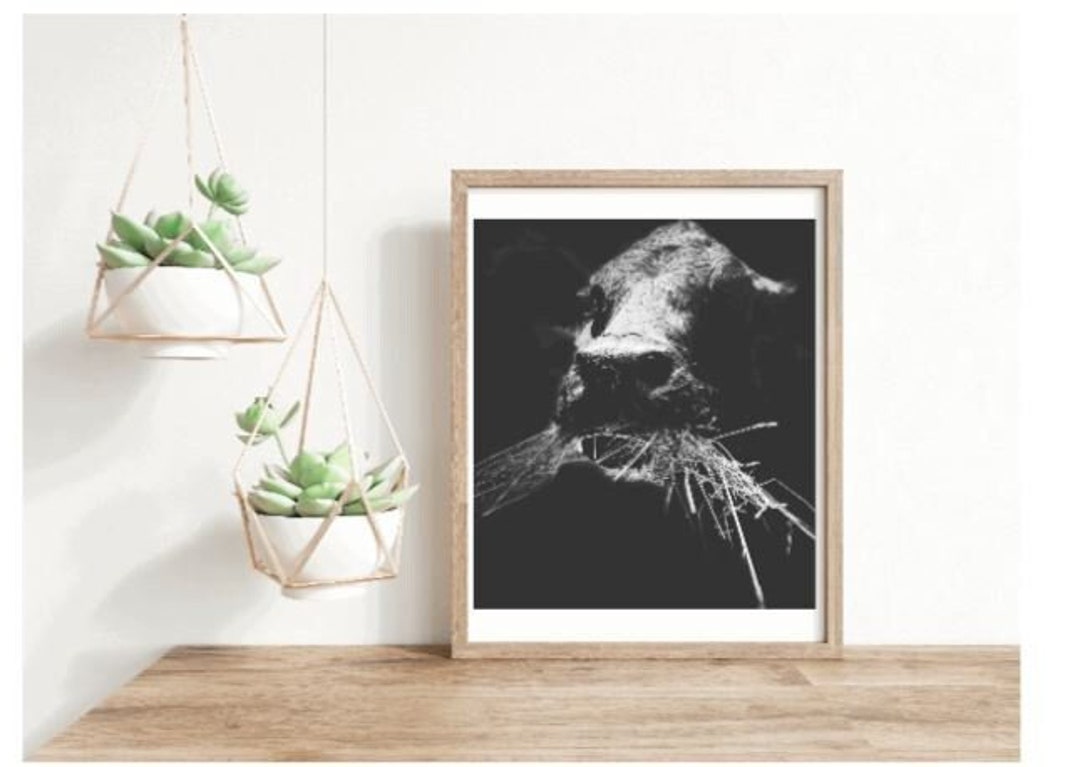 Cow Picture, Cow Print, Farm Animal Print, Farm Animal, Cow Wall Art ...