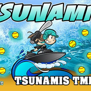 Tidal Waves - Tsunamis - Riptide - Surf Softball Banners, Printed Vinyl Banner. 3-5 Bus. Days ...