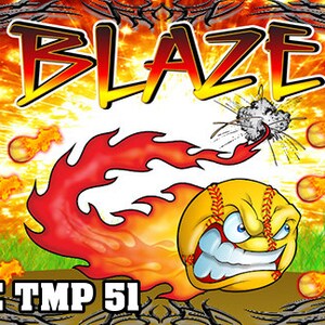 Heat - Fire Softball Banners, 3'x5' Printed Vinyl Banner. 3-5 Bus. Days ...