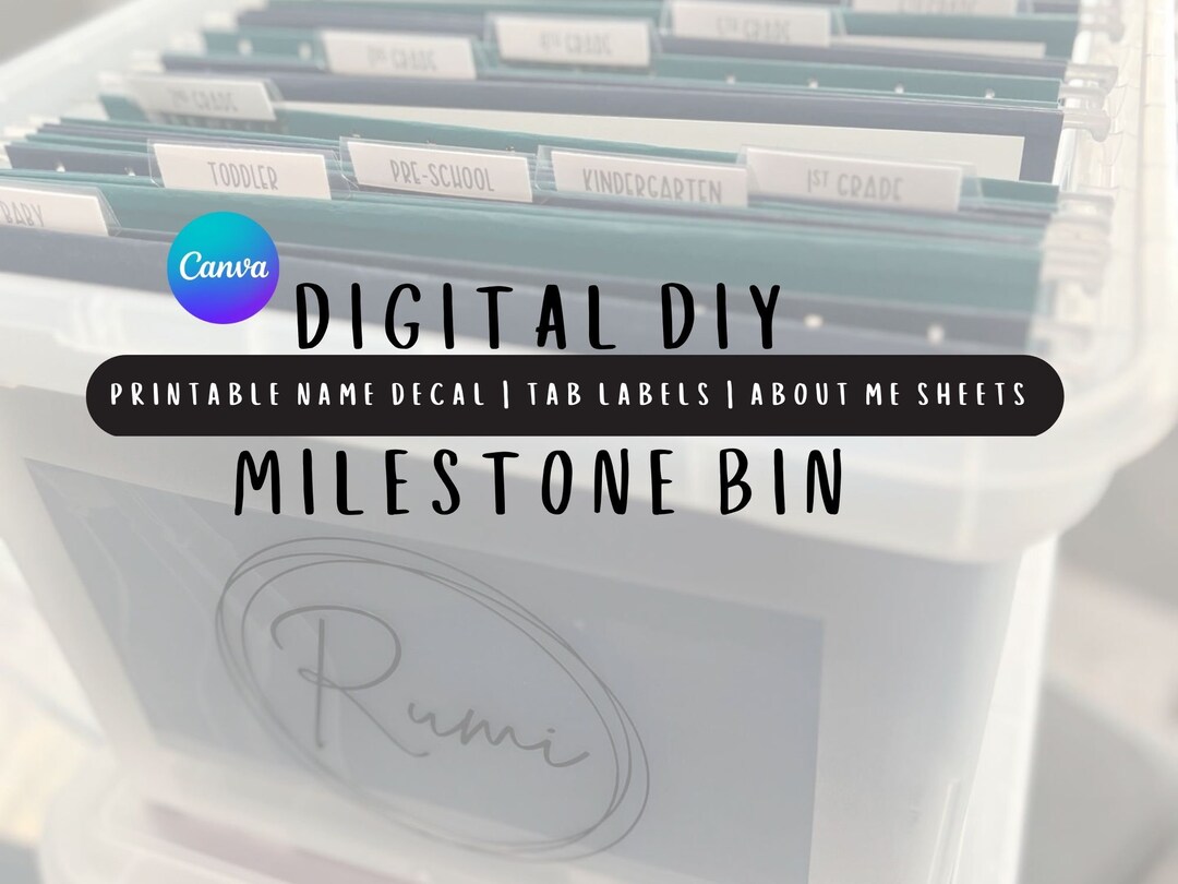 Digital File Digital Milestone Bin Organization Bin School Bin Labels ...