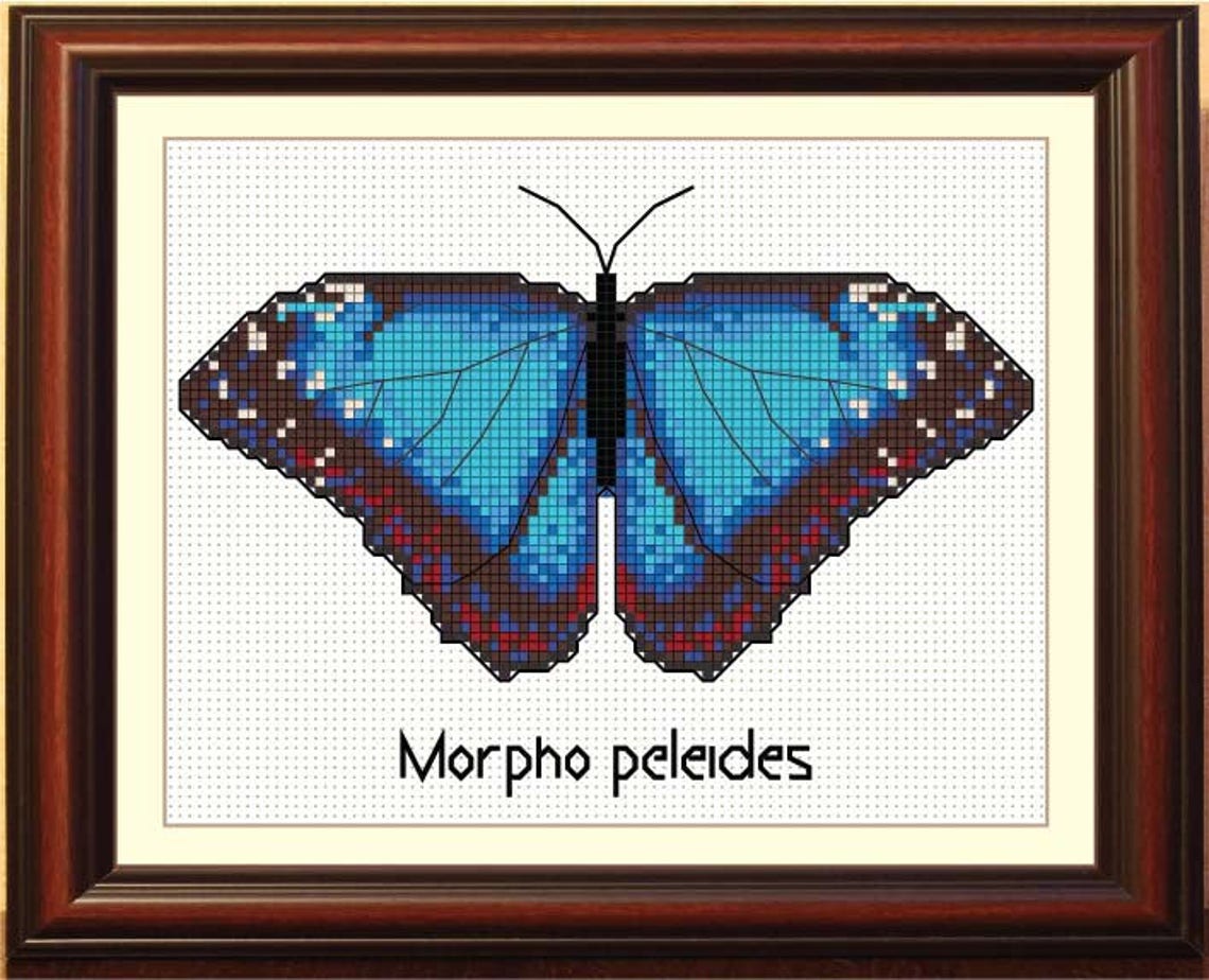 Morpho Butterfly Cross Stitch Pattern BOGO Free, Collection of 12 ...