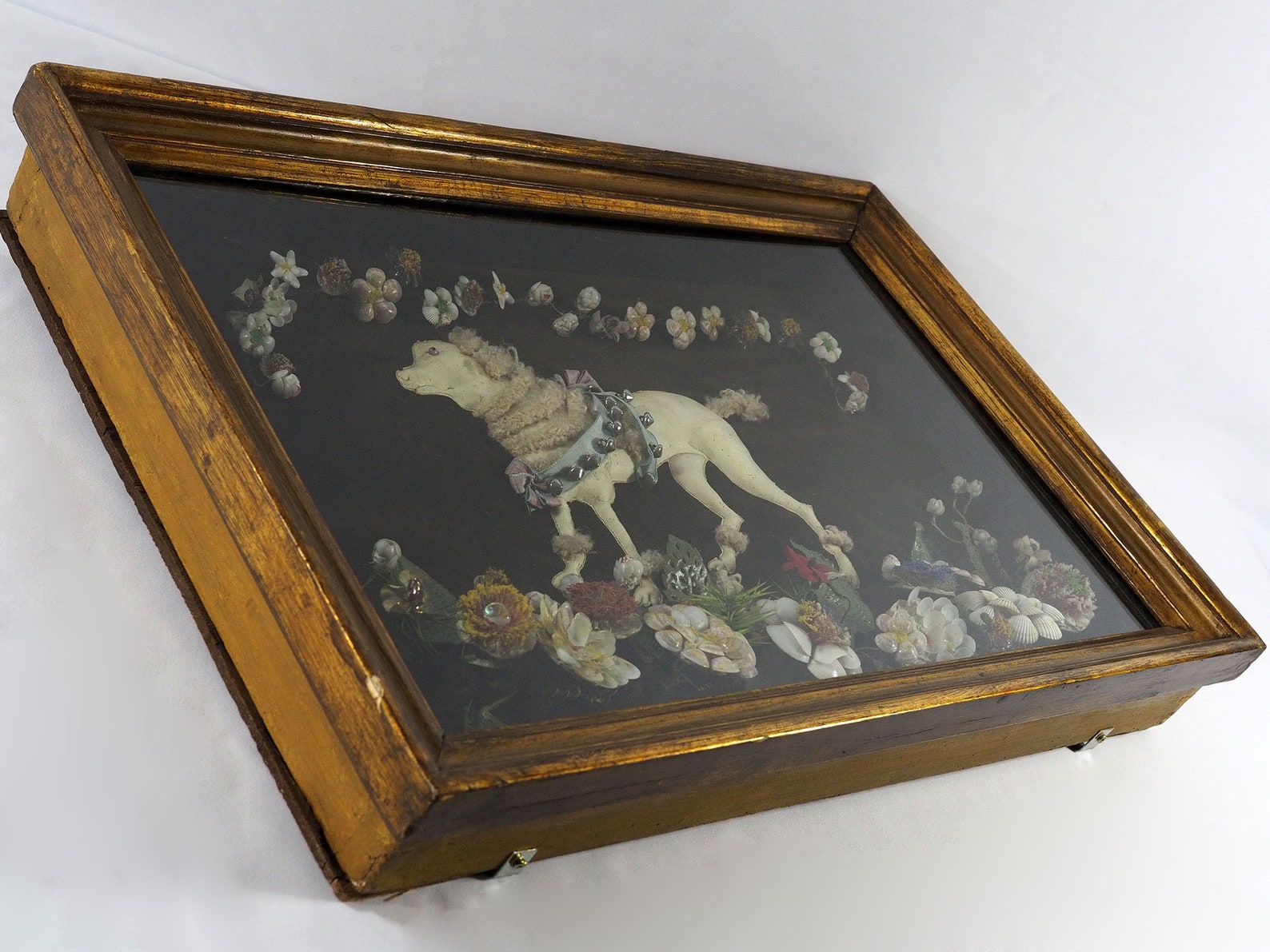 Antique Victorian Shadow Box Diorama With Poodle & Encrusted Shells as ...