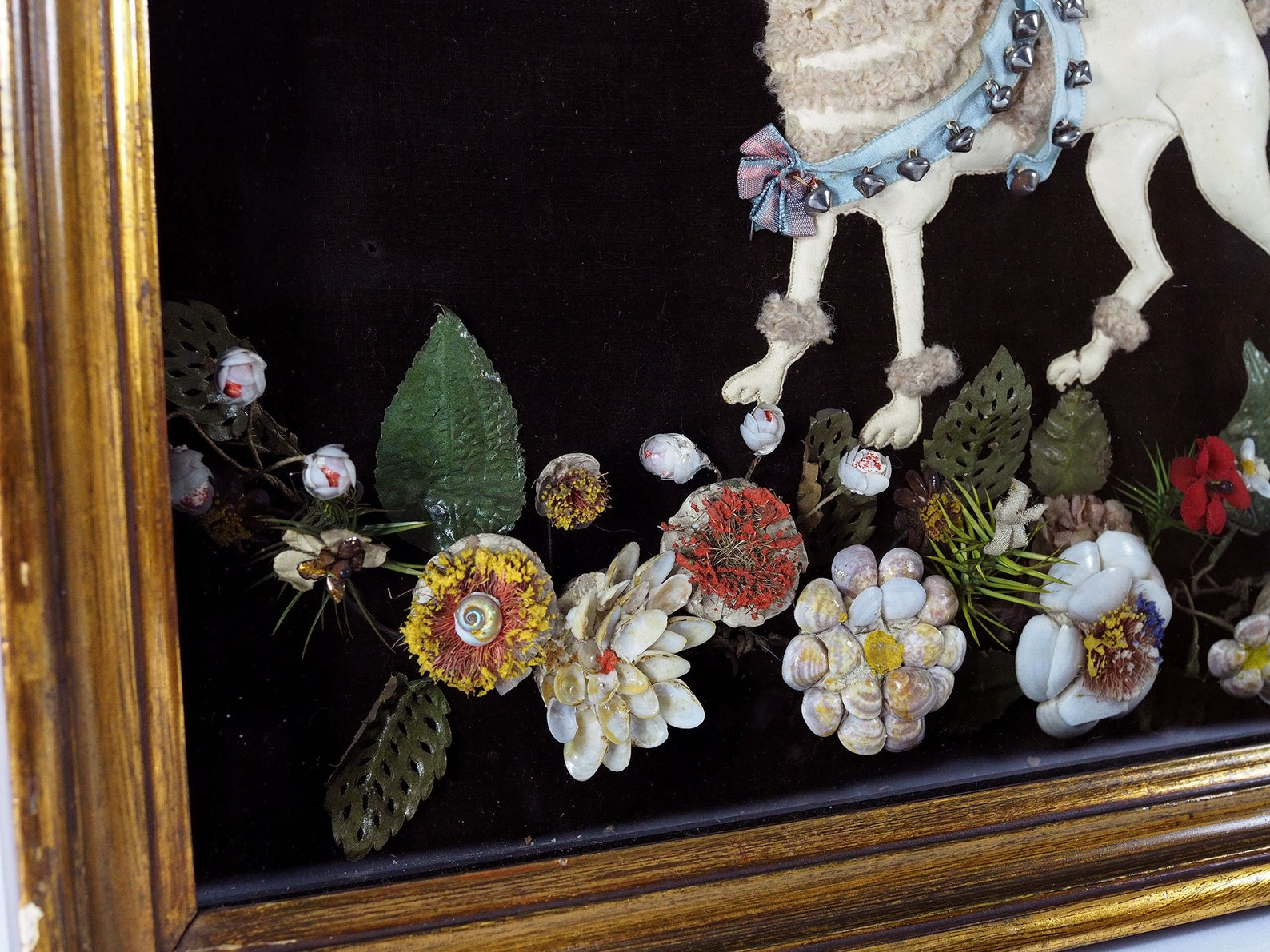 Antique Victorian Shadow Box Diorama With Poodle & Encrusted Shells as ...
