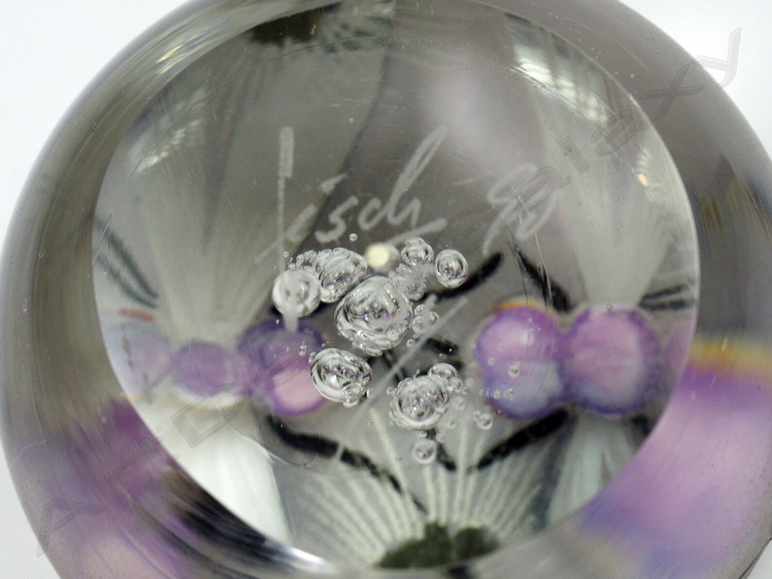 Erwin Eisch Studio Glass Dragonflies Paperweight - Etsy