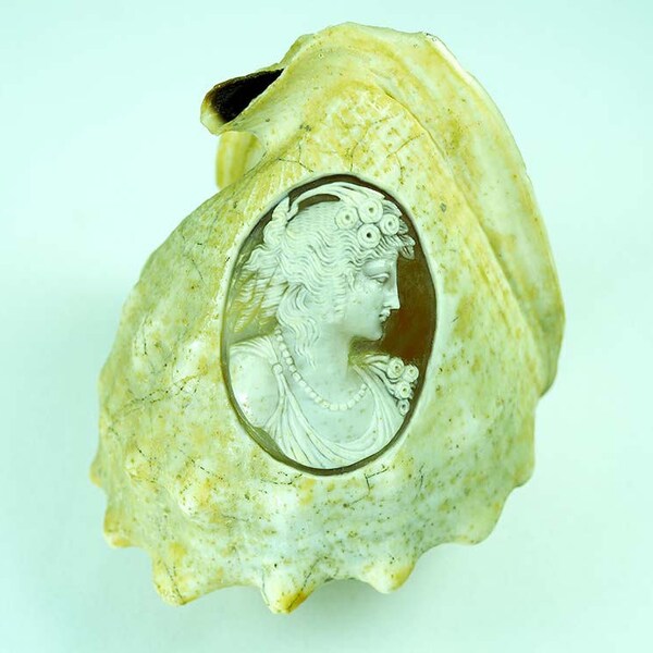 Shell Cameos - Etsy