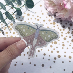 Luna Moth | Vinyl Die Cut - Etsy