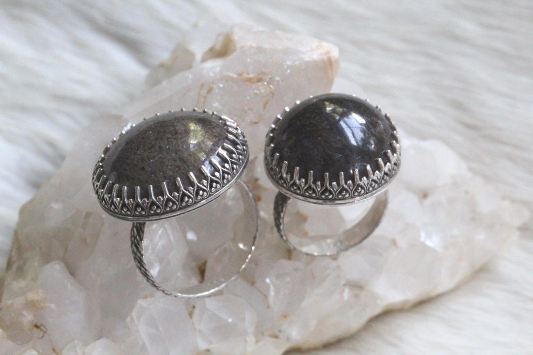 Fossilized Whale Bone Ring: Sterling Silver Statement Jewelry, US Size ...
