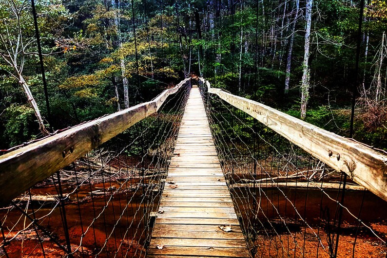 Red River Gorge Wooden Bridge | Daniel Boone, National Forest, Wood ...