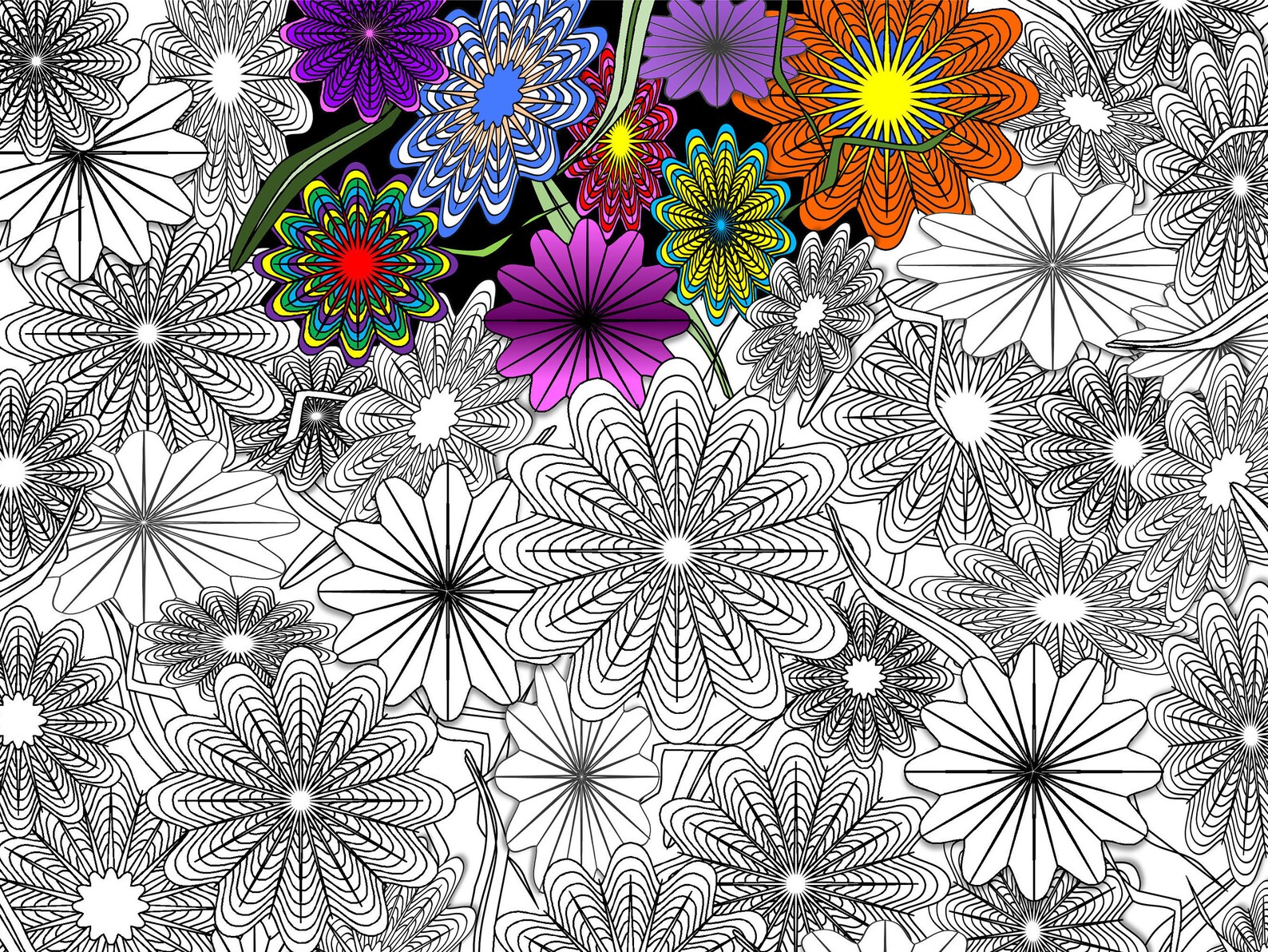Star Flower Garden - #1, Coloring Page, Star Flower Garden Coloring ...