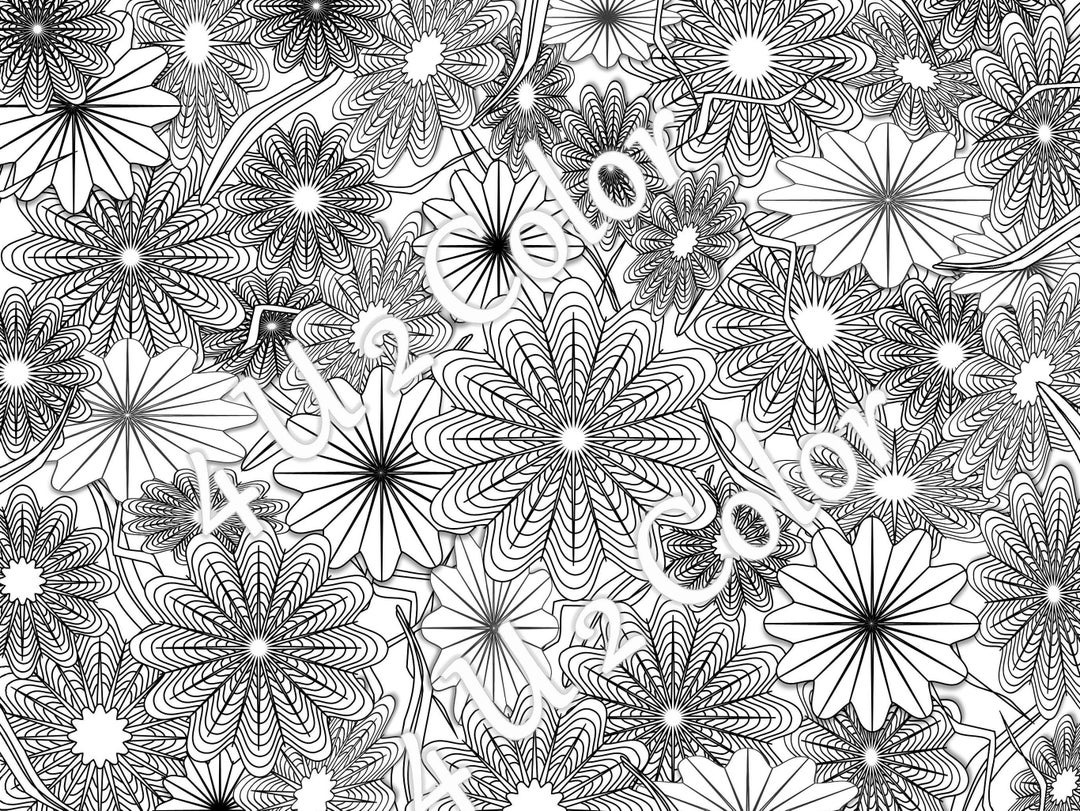 Star Flower Garden - #1, Coloring Page, Star Flower Garden Coloring ...