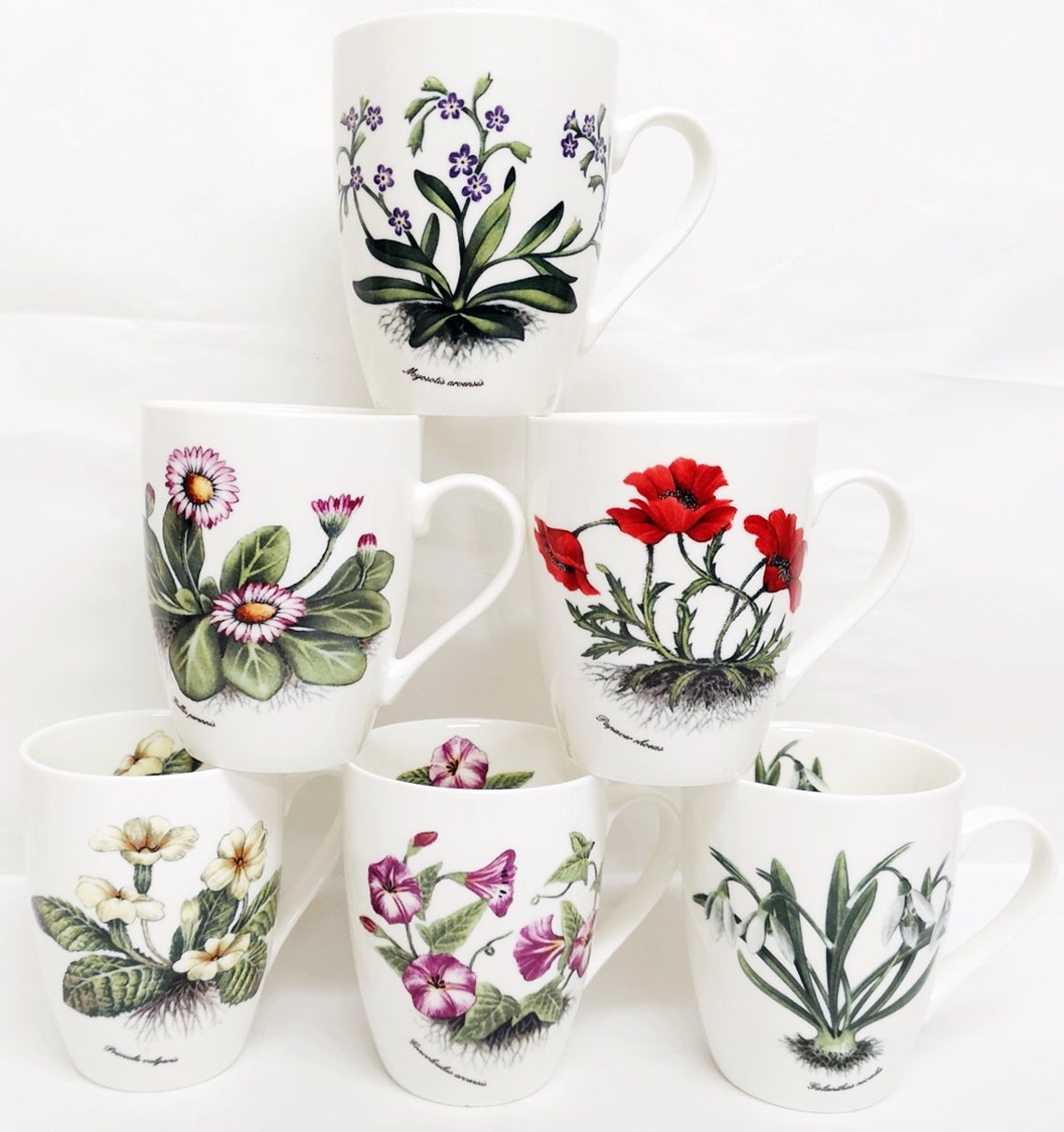 Botanic Flowers Mugs Set 6 Fine Bone China Botanical Floral | Etsy