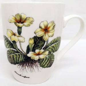 Botanic Flowers Mugs Set 6 Fine Bone China Botanical Floral | Etsy