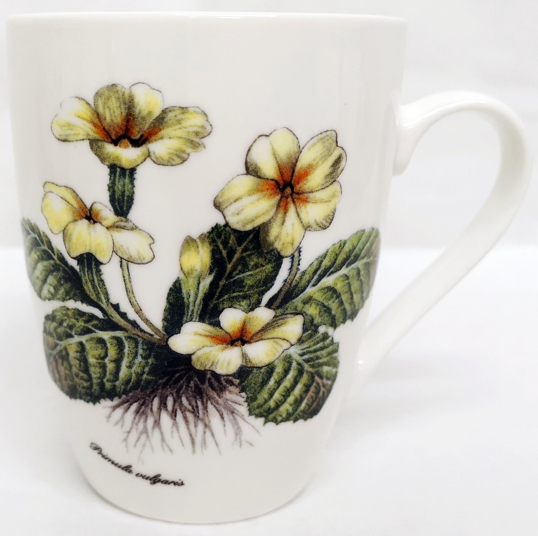 Botanic Flowers Mugs Set 6 Fine Bone China Botanical Floral | Etsy