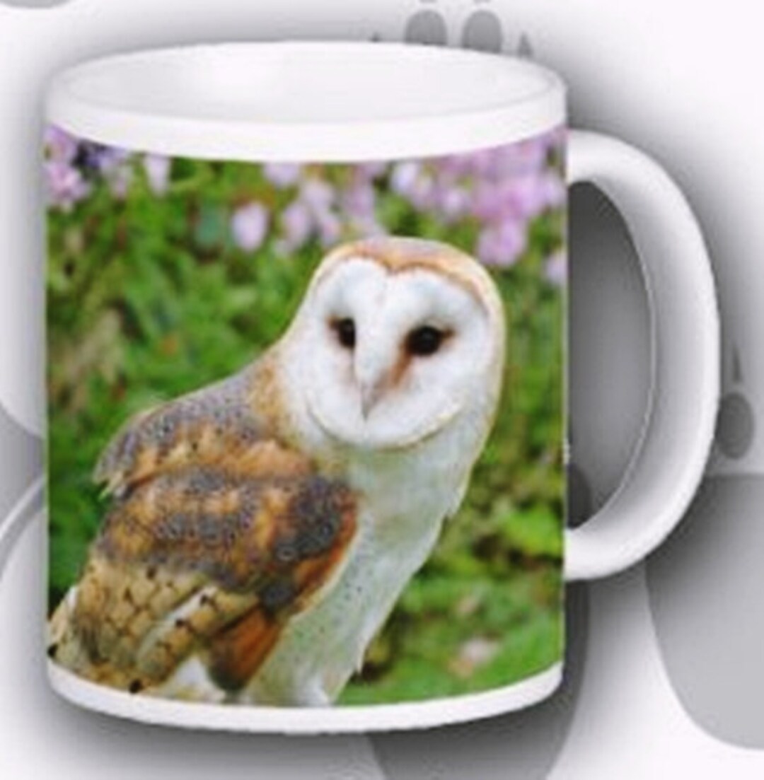 Owl Mug 300 Ml Ceramic Wildlife Collection Barn Owl Photo Scene 10.5 Oz ...