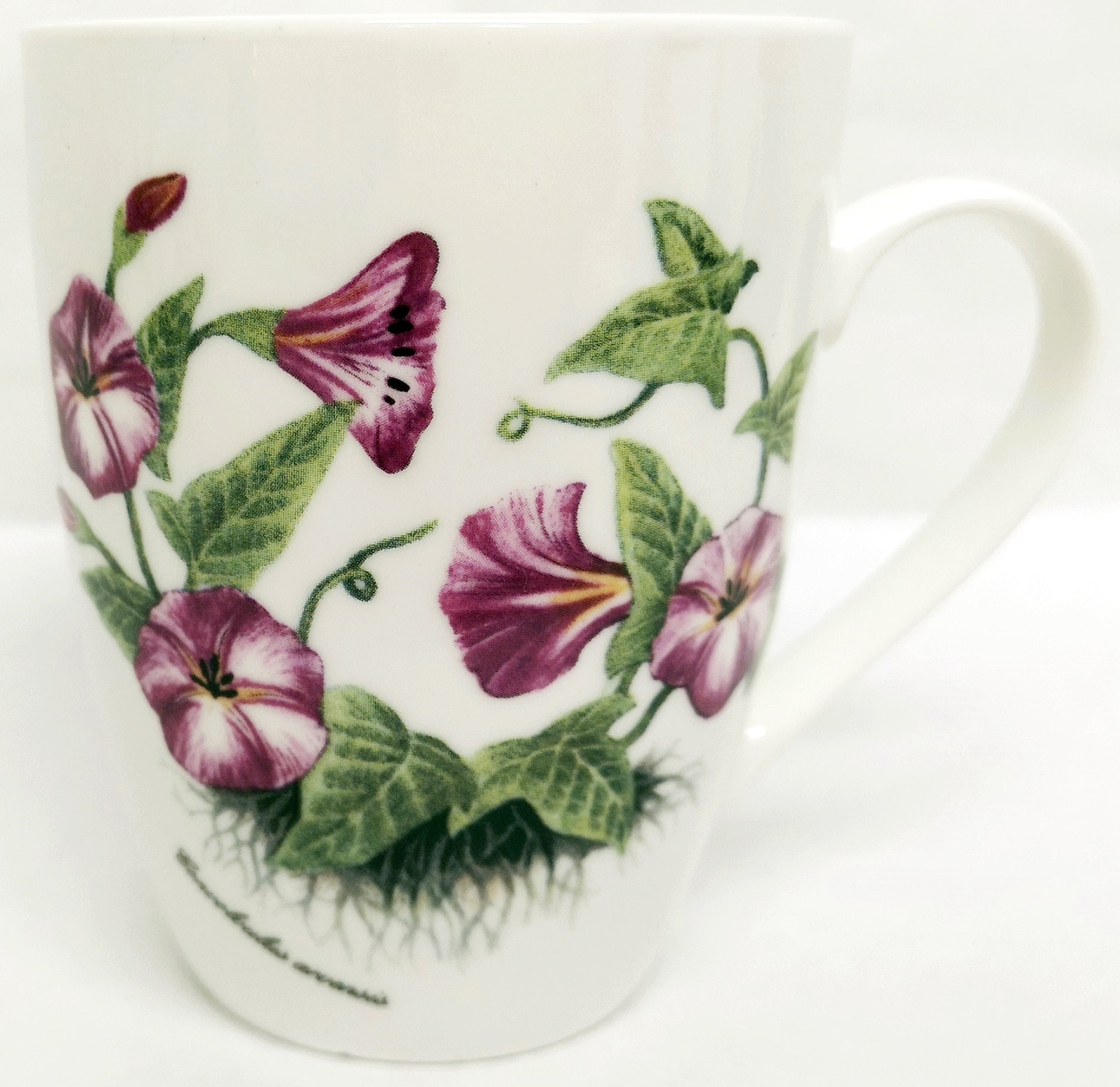 Botanic Flowers Mugs Set 6 Fine Bone China Botanical Floral | Etsy