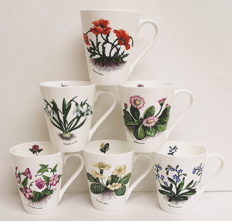 Botanic Flowers Mugs Set 6 Fine Bone China Botanical Floral - Etsy UK