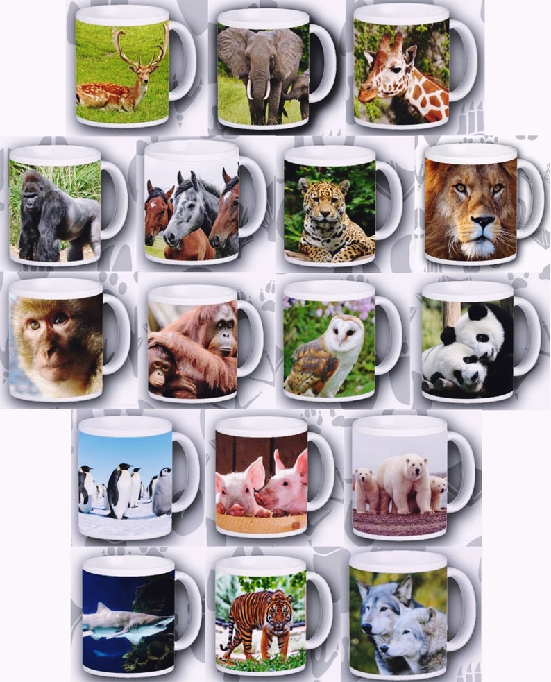 Owl Mug 300 Ml Ceramic Wildlife Collection Barn Owl Photo - Etsy