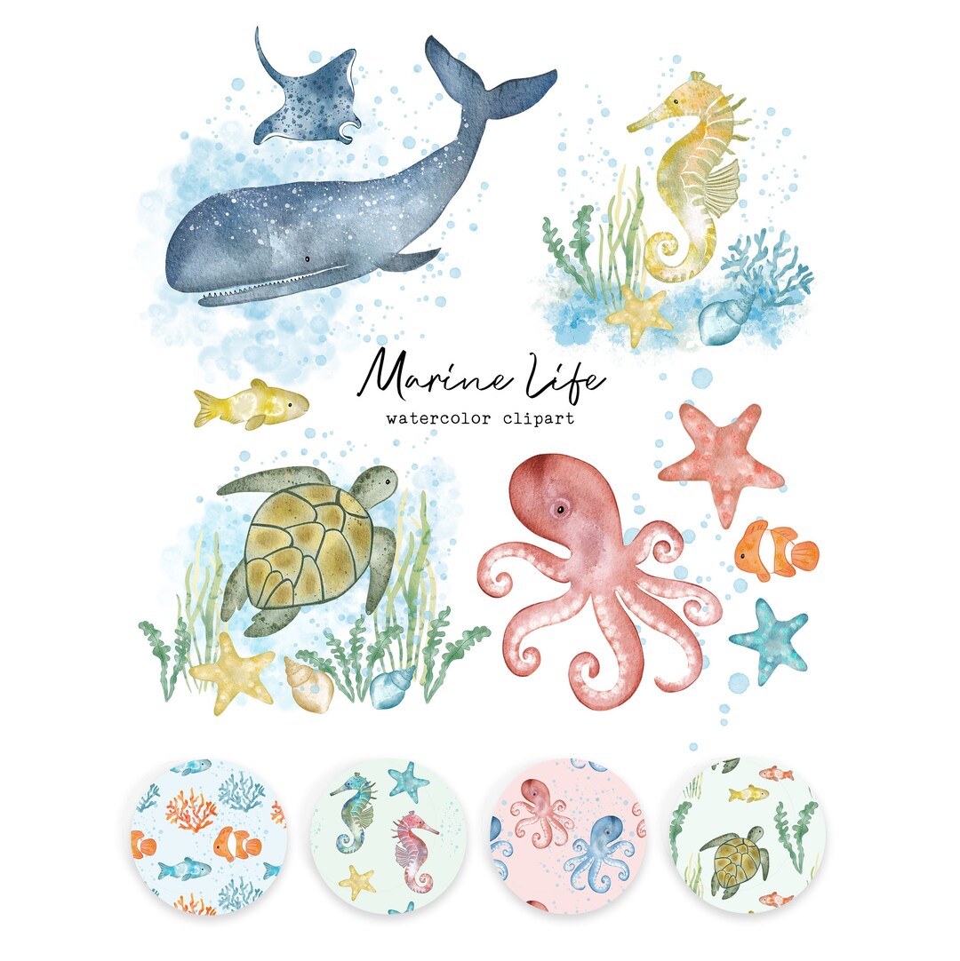Under the Sea Clipart, Under Sea Watercolor, Sea Animals, Whale ...
