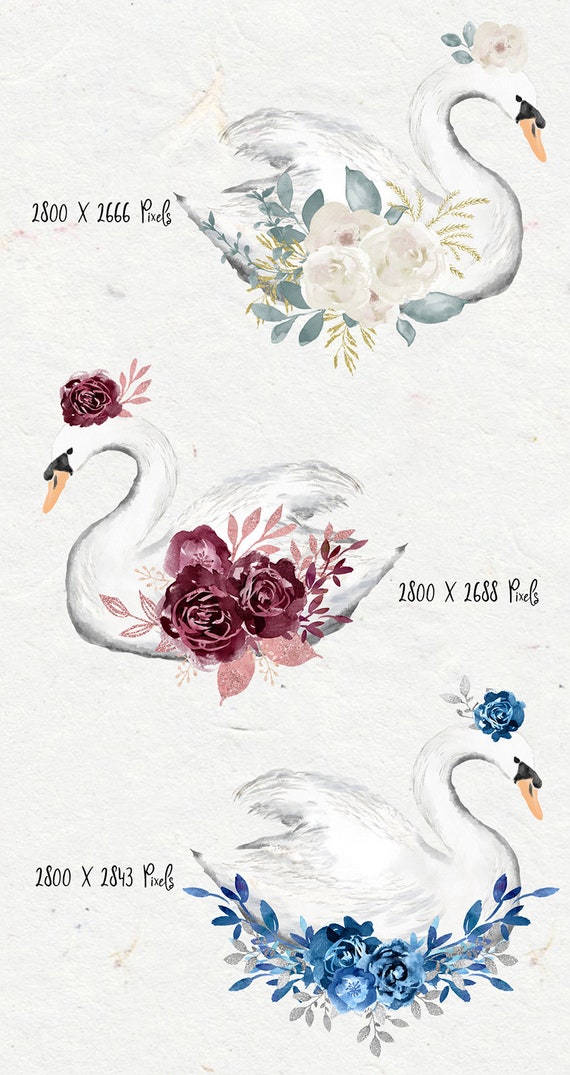 Craft Supplies & Tools Scrapbooking Paper, Party & Kids Swan Watercolor ...