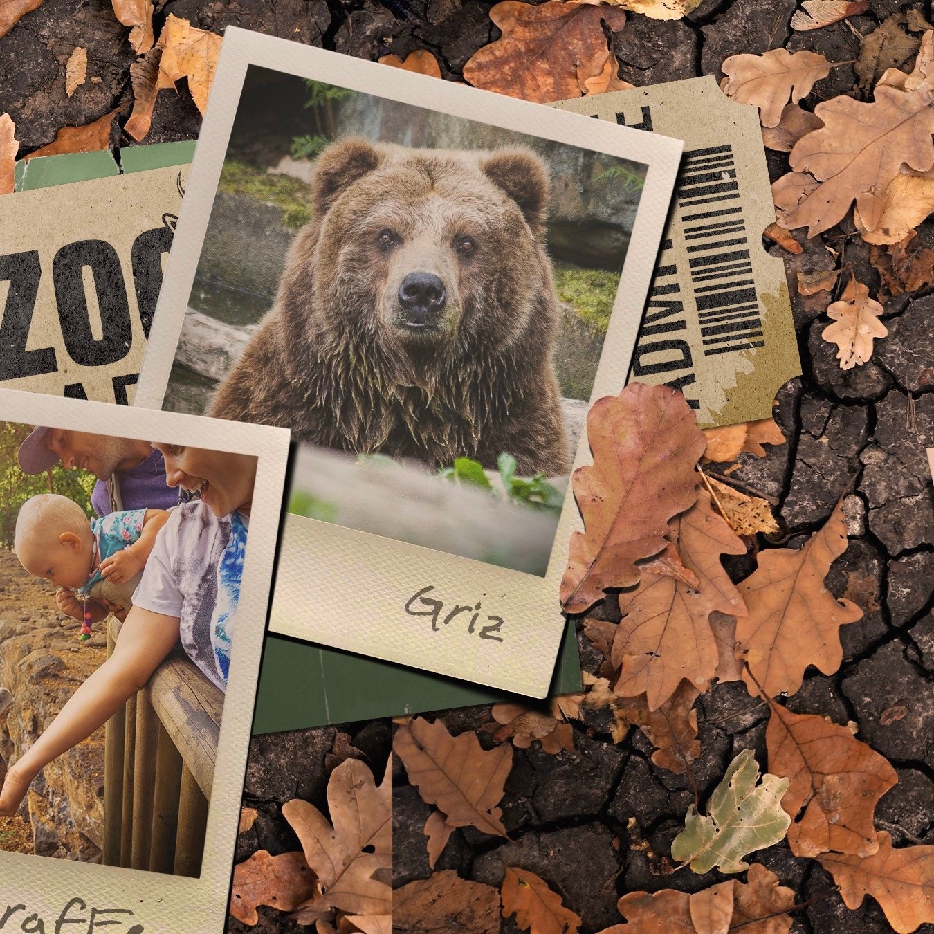 Guided Zoo Animal Sketch Journal - Book Guides Children to Journal ...