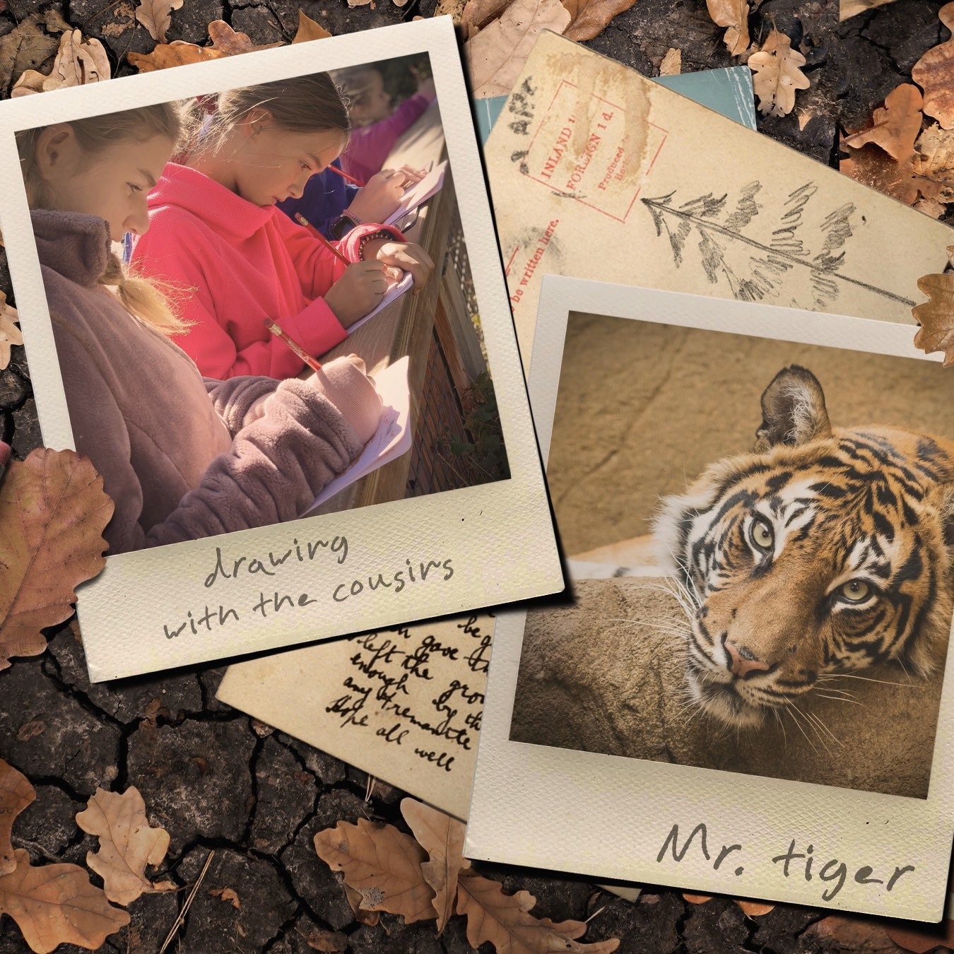 Guided Zoo Animal Sketch Journal - Book Guides Children to Journal ...