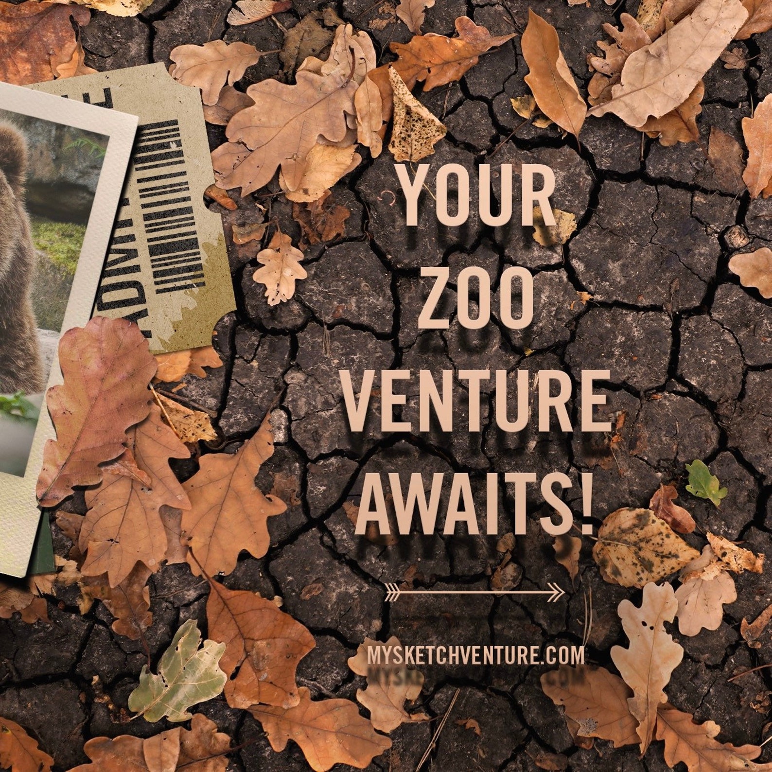 Guided Zoo Animal Sketch Journal Book Guides Children to Journal, Draw ...